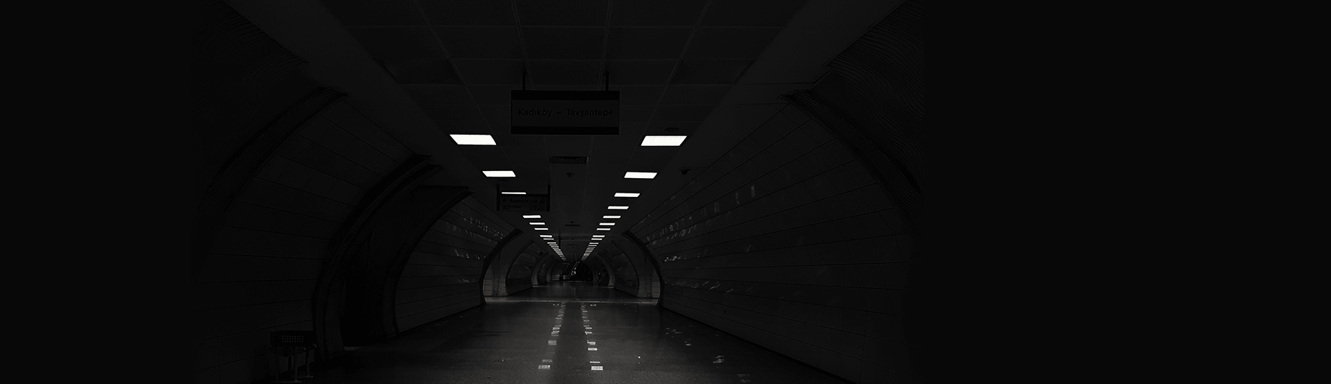 LPR Camera|License Plate Recognition|Milesight