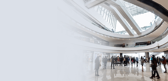 AI Video Surveillance System | Milesight